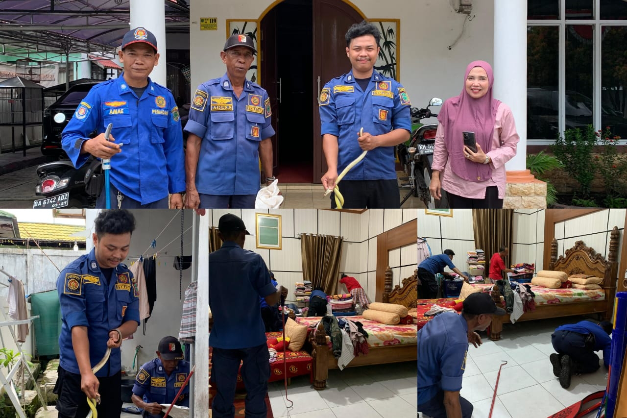 Tim Rescue Animal Satpol PP dan Damkar berhasil Evakuasi Ular Berbisa ... Tim Rescue Animal Satpol PP dan Damkar berhasil Evakuasi Ular Berbisa ...