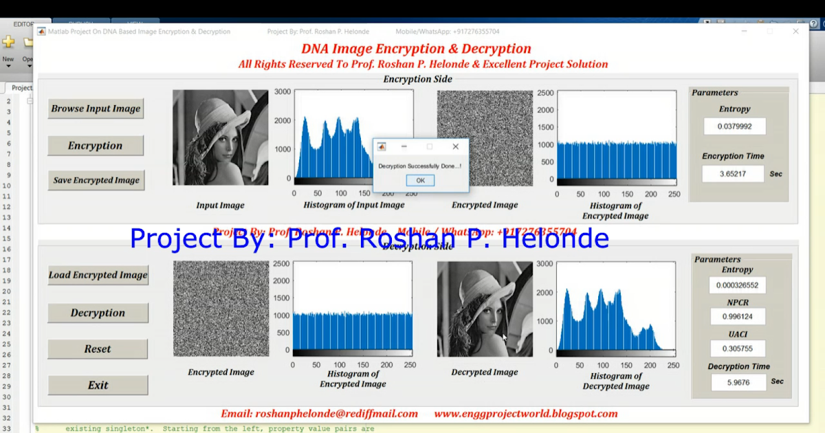 Image Encryption And Decryption Using DNA Algorithm | DNA Based Image ...