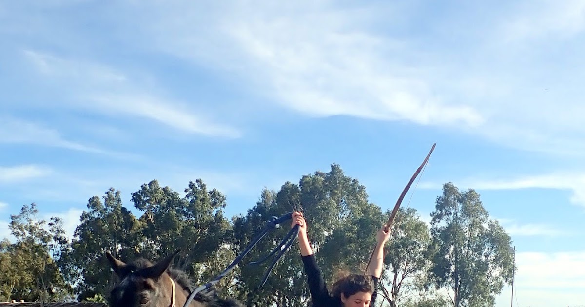 ΕΛΛΗΝΙΚΗ ΕΦΙΠΠΗ ΤΟΞΟΒΟΛΙΑ: Η ΑΣΦΑΛΗΣ ΠΤΩΣΗ ...ΕΙΚΟΝΟΓΡΑΦΗΜΕΝΗ