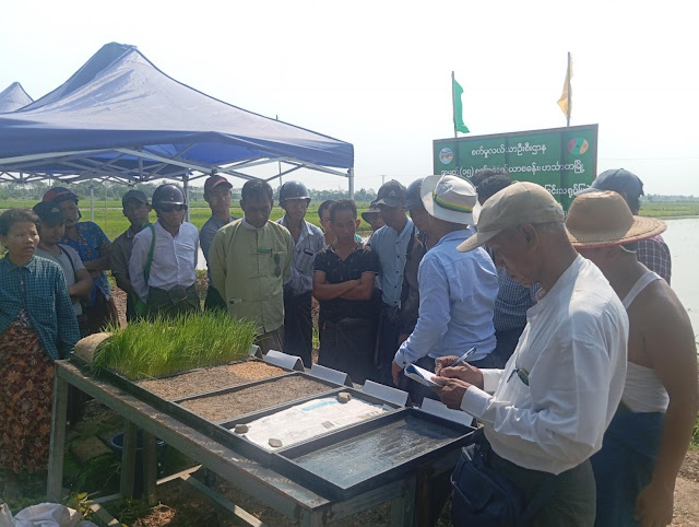 ဟင်္သာတမြို့နယ်၌ ကောက်စိုက်စက်ဖြင့် မိုးကြိုစပါး လက်တွေ့စိုက်ပျိုးသရုပ
