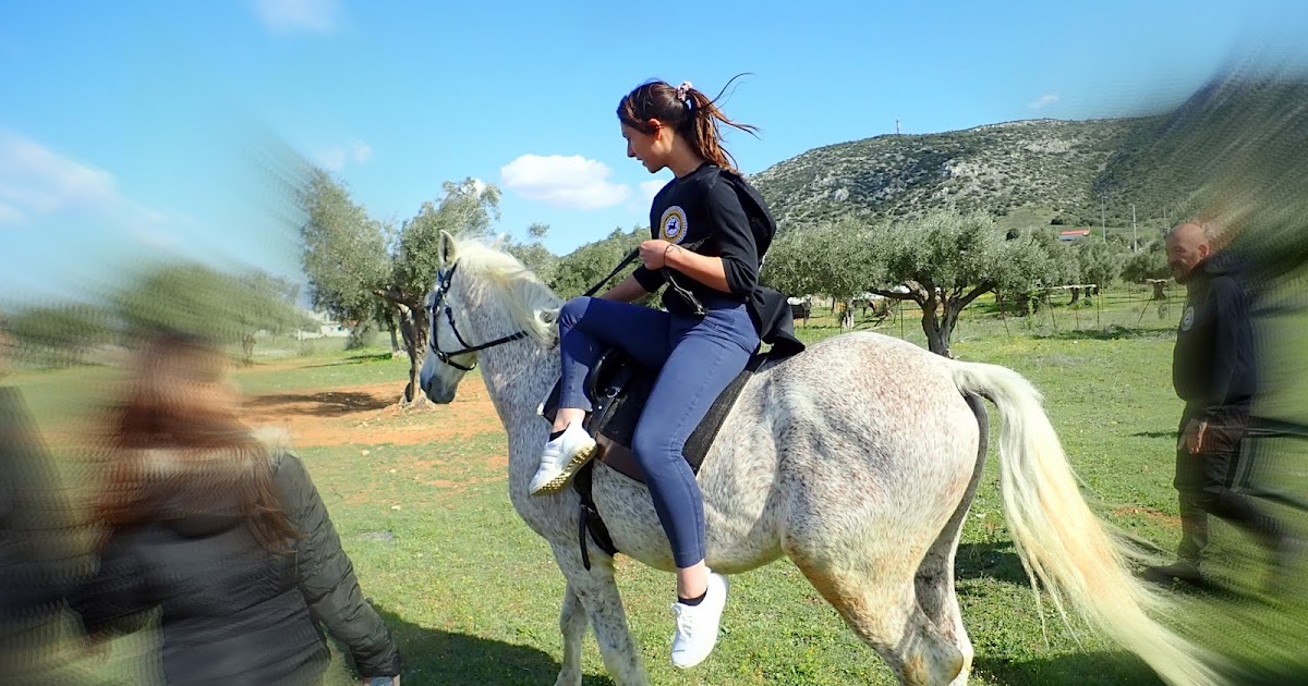 ΕΛΛΗΝΙΚΗ ΕΦΙΠΠΗ ΤΟΞΟΒΟΛΙΑ - GREEK HORSEBACK ARCHERY: DAMEN SATTEL, ohne ...