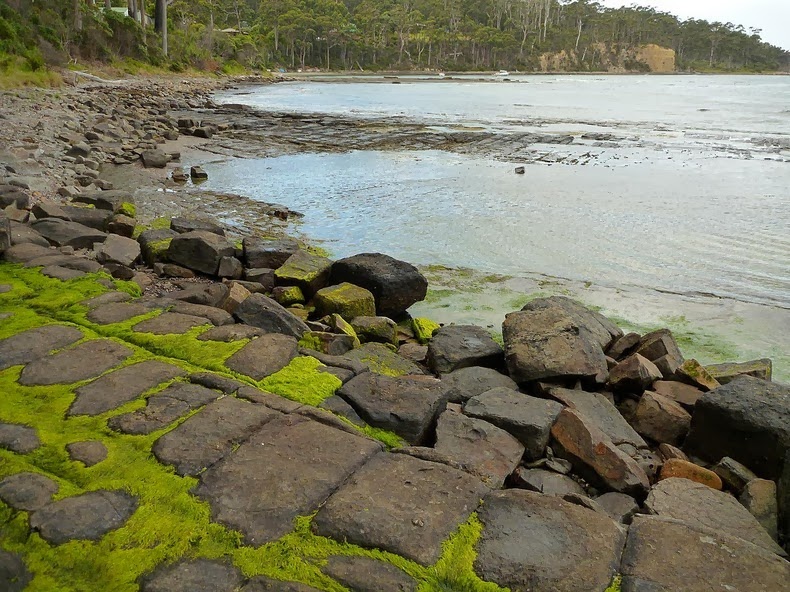 tessellated-pavement-3