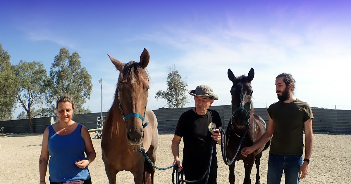 ΕΛΛΗΝΙΚΗ ΕΦΙΠΠΗ ΤΟΞΟΒΟΛΙΑ: "ANAΤΟΜΙΑ" ΕΚΠΑΙΔΕΥΣΕΩΣ ΙΠΠΟΥ