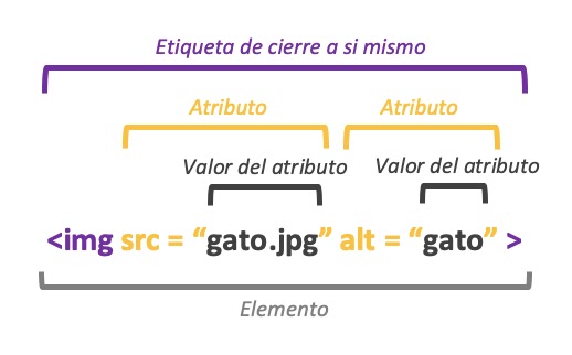 Diferencia entre etiqueta y atributo en HTML Diferencia entre etiqueta y atributo en HTML