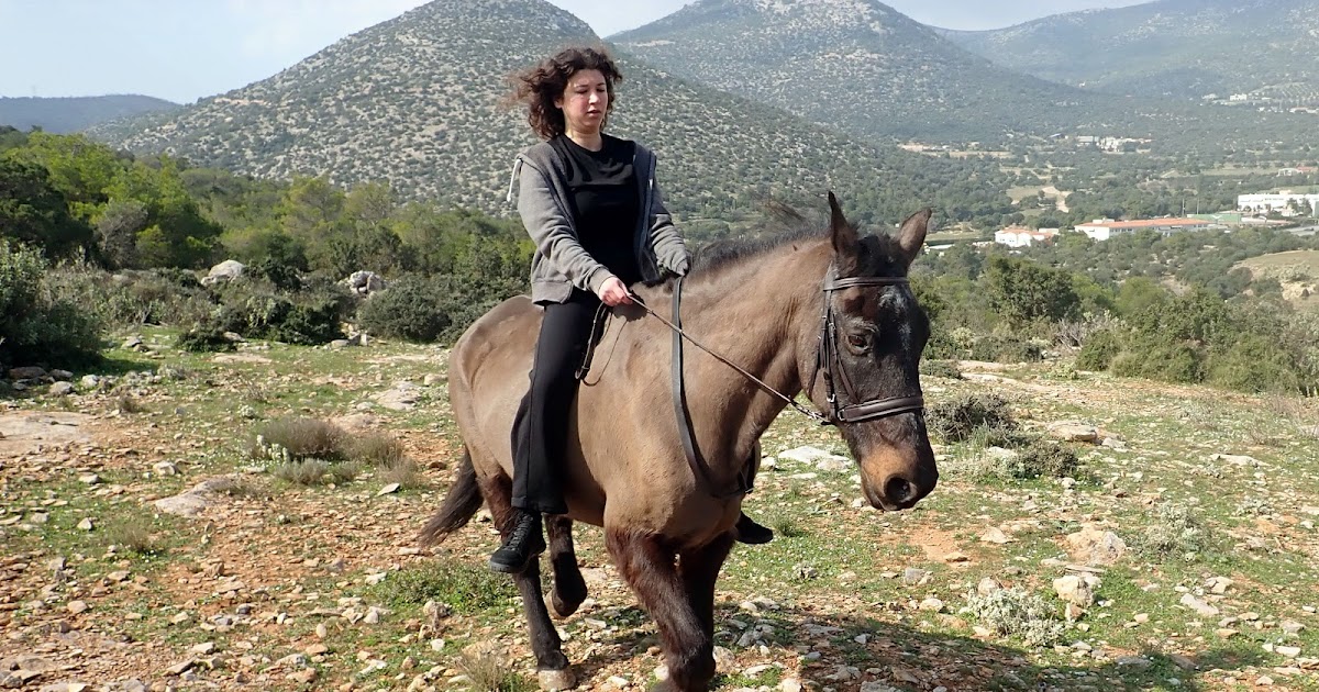 ΕΛΛΗΝΙΚΗ ΕΦΙΠΠΗ ΤΟΞΟΒΟΛΙΑ: ΙΠΠΙΚΗ ΔΕΞΙΟΤΕΧΝΙΑ ΕΠΙ ...ΟΡΕΙΝΟΥ ΕΔΑΦΟΥΣ!