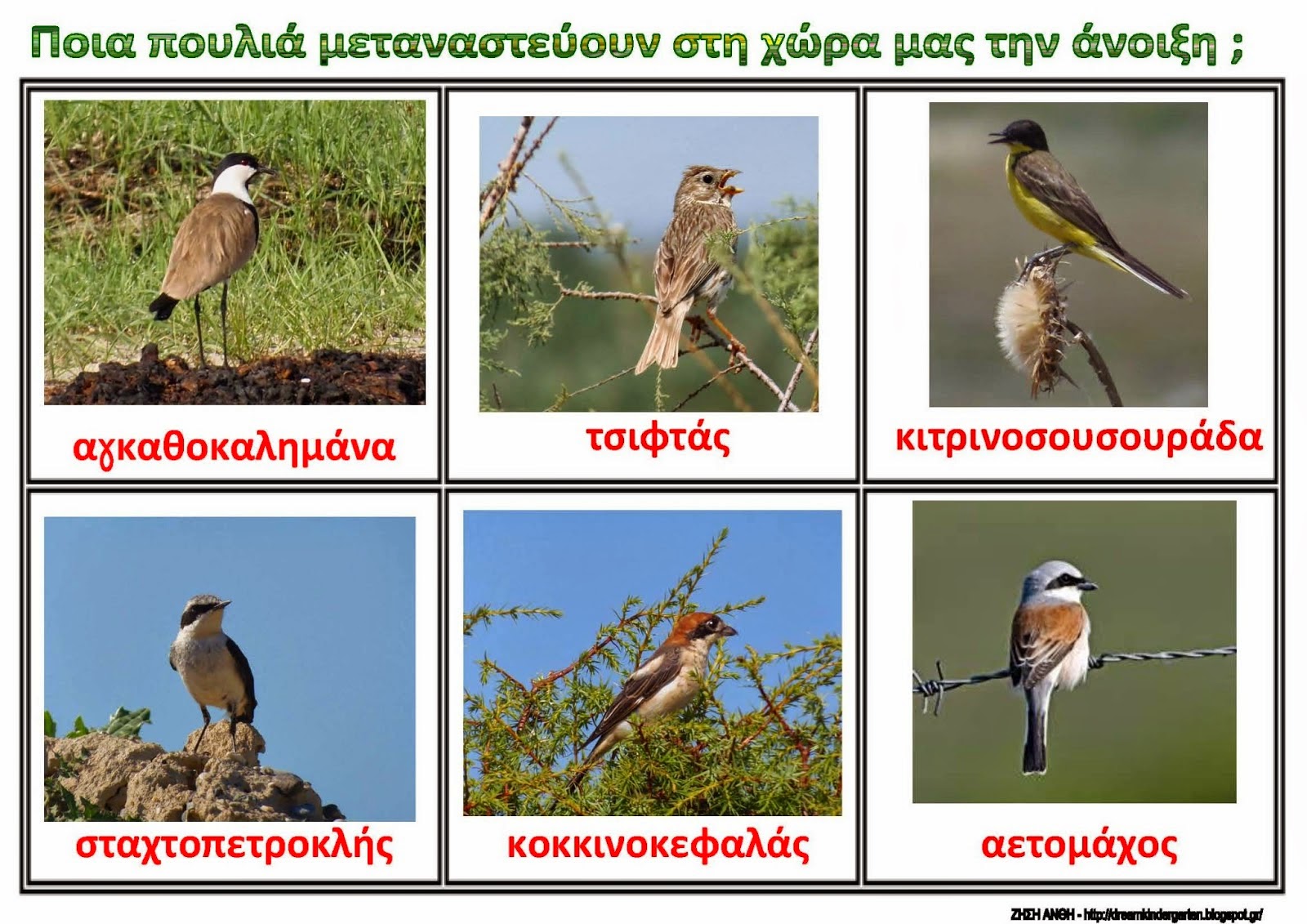 ΠΛΑΤΑΝΟΒΡΥΣΗ Ν.ΑΧΑΙΑΣ: ΠΑΝΙΔΑ