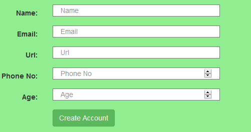 Angularjs Form Validation